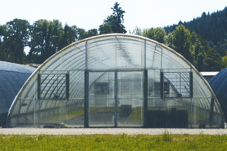 Greenhouse Roof Design: Types, Features, and Functionalities